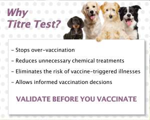 Titre Test for Dogs | Post a Sample | VacciCheck | Simple Accurate ...