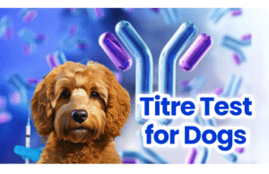 Titre Test for Dogs | Post a Sample | VacciCheck | Simple Accurate ...