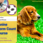 Titre Test for Dogs | Post a Sample | VacciCheck | Simple Accurate ...